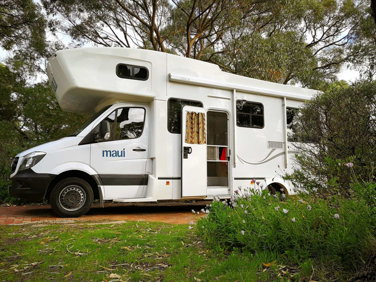 garden-australia-low-angle-parking-caravan-campsite-maui-rv-motorhome ...